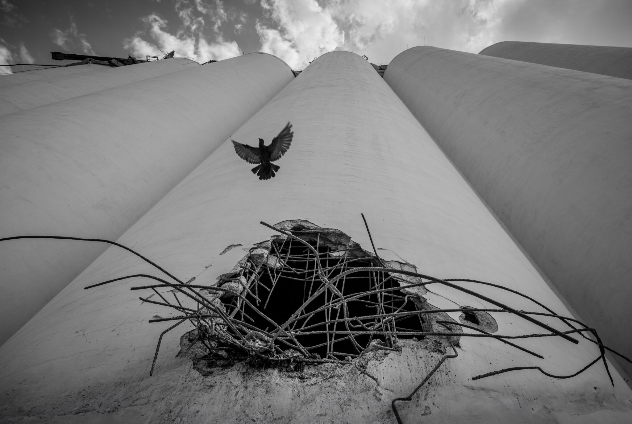 Architecture Matters 2024